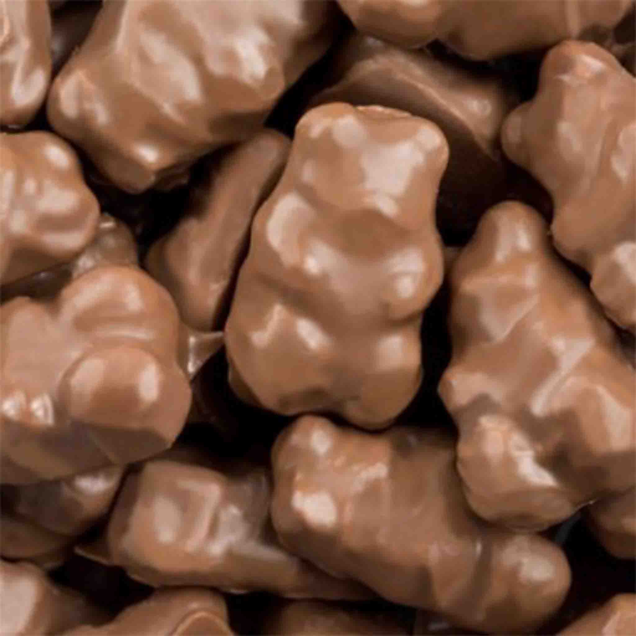Chocolate Covered Gummi Bears – Muth's Candies